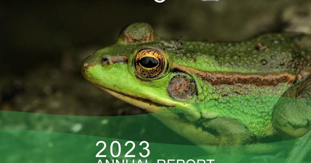 Dive into Our 2023 Annual Report: Connecting Conservationists and ...