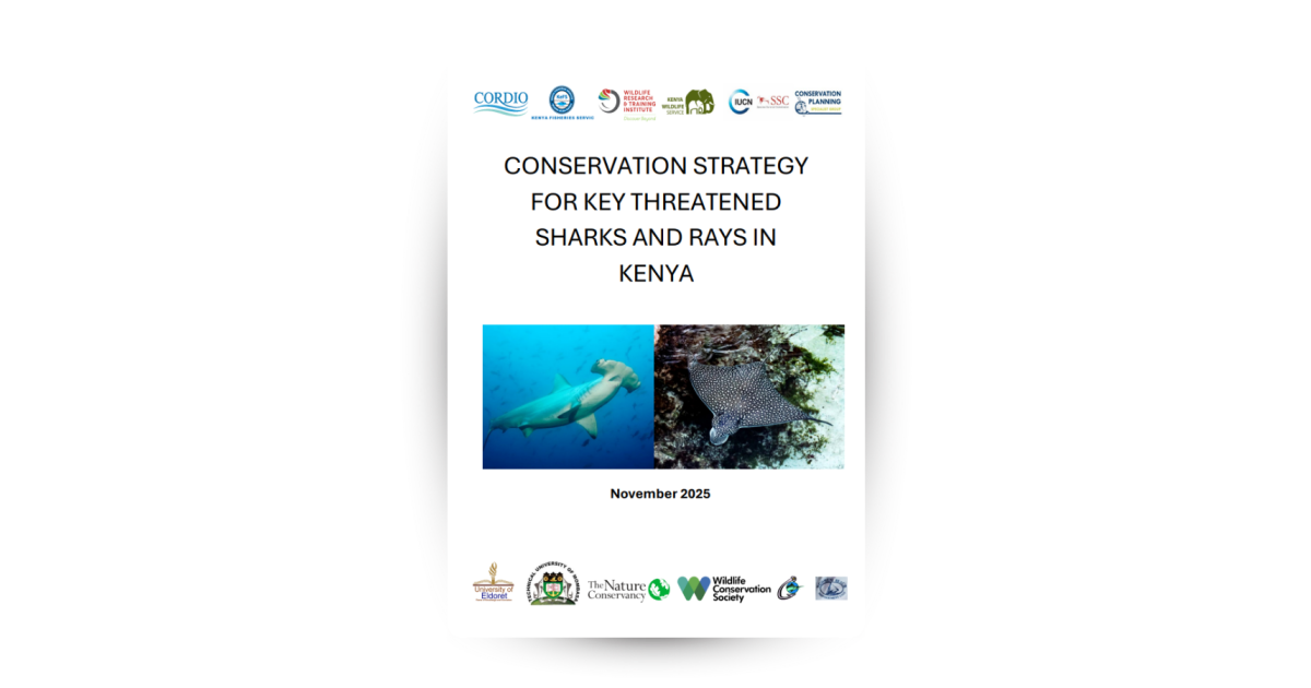 Building Consensus for Shark and Ray Conservation in Kenya – Workshop ...